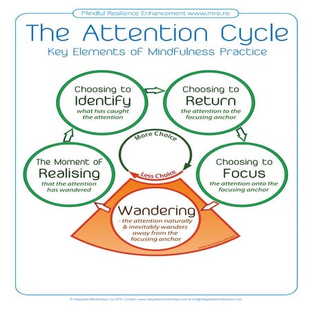 Attention_Cycle_2016v1 | PDF