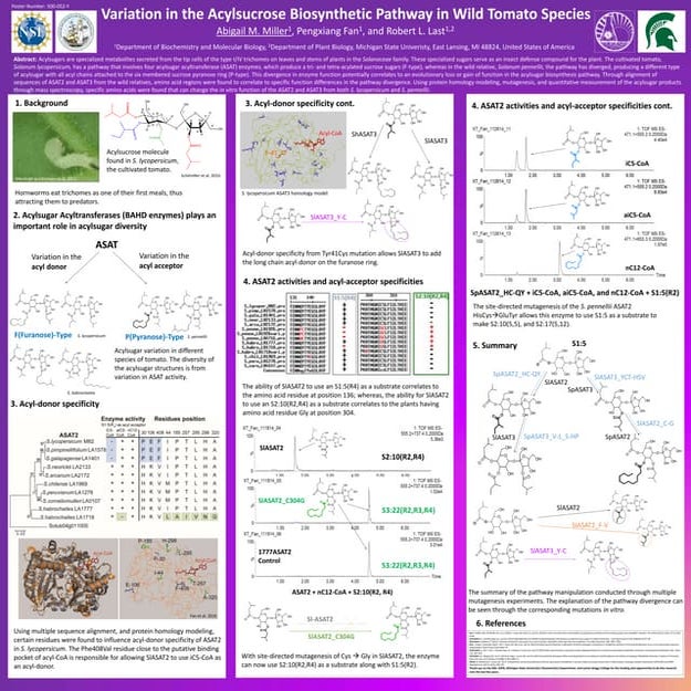 ASPB Poster 2016-AbigailFinal | PPTX | Endocrine and Metabolic Diseases ...