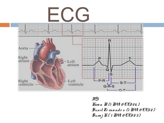 Phonocardiography(PCG) | PPTX