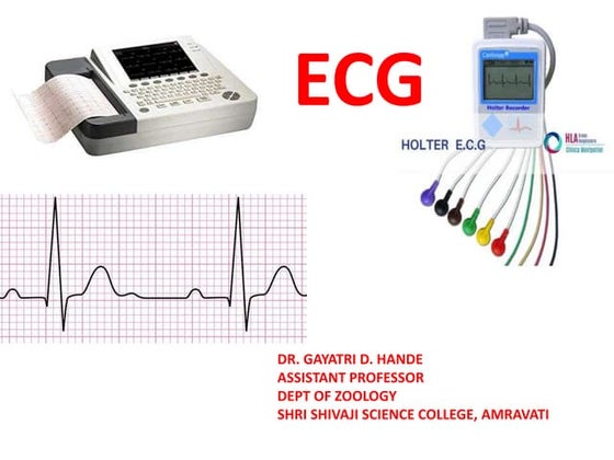 Circulatory Syatem - Frog 1.pptx