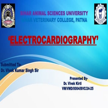 Veterinary ECG (Electrocardiogram) pptx | PPTX