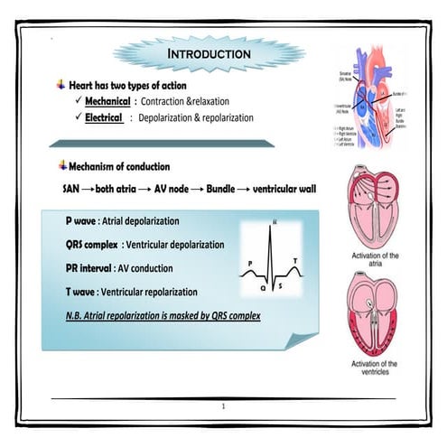 ECG-Dr.Allam منقول.pdf
