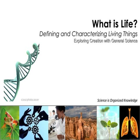 Characteristics of Life | PPT
