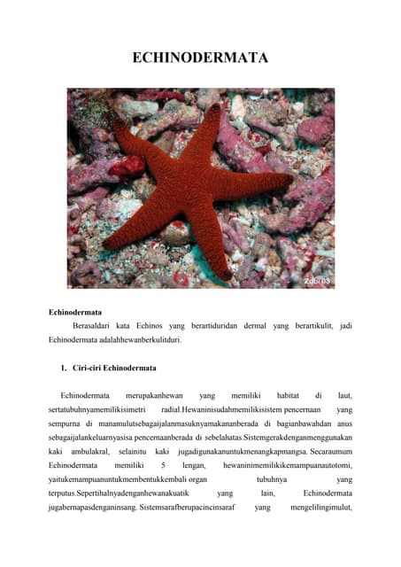 CACING PLANARIA SP | PDF