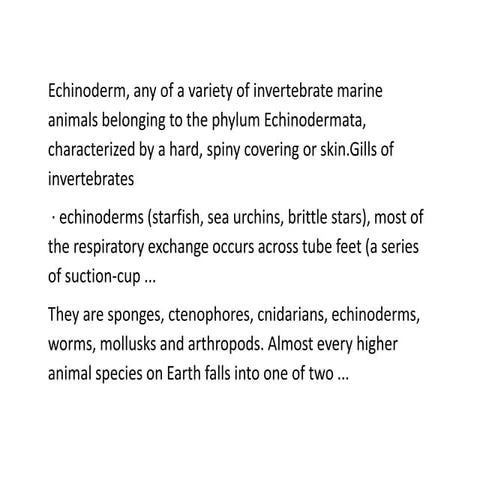 Echinodermpresentation.pptx