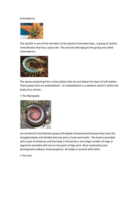 Grade 6 PPT_Science_Q2_W6_Invertebrates.pptx
