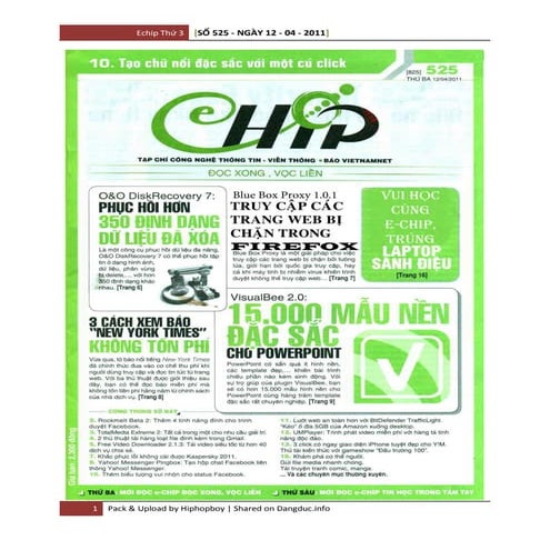 Echip 525 | PDF