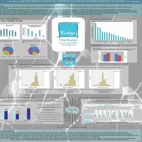ECHIS Evelyn Community Head Injury Service poster first 100pts | PDF