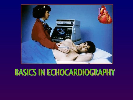 ECHO WINDOWS AND VIEWS.pptx | Digital Audio | Computer Software and ...