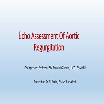 ECHO AR AL_AMIN.pptx