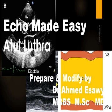 Echocardiography made easy all thing you want to know part b | PPTX