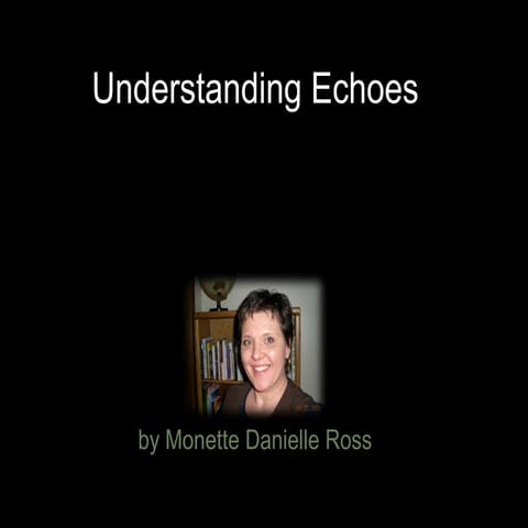 Understanding Echoes | PPT