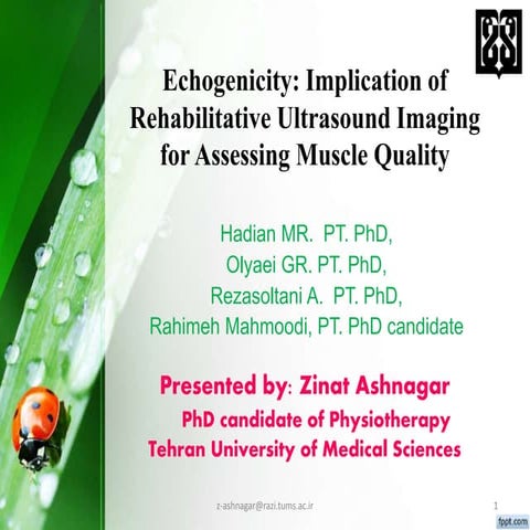 Echogenicity: Implication of Rehabilitative Ultrasound Imaging for ...