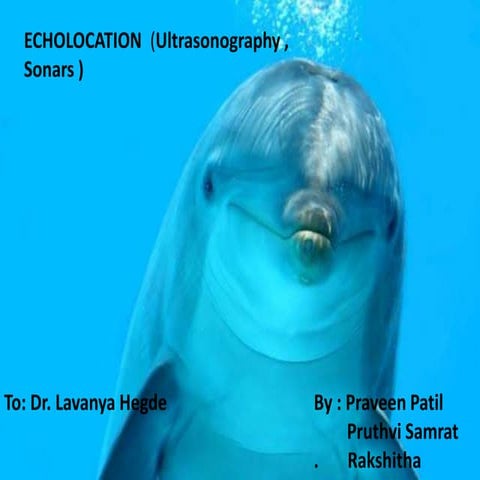 echolation BY MOULYA GOWDA FROM CIVIL DEPT | PPT