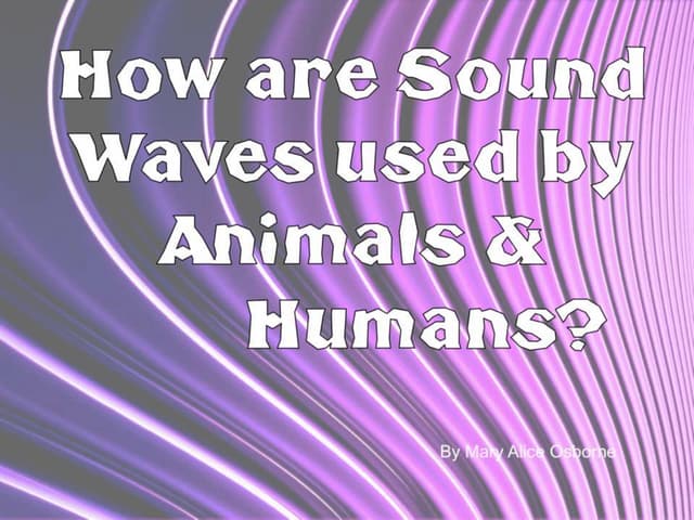 Echolocationandbatsczequeira | PPTX