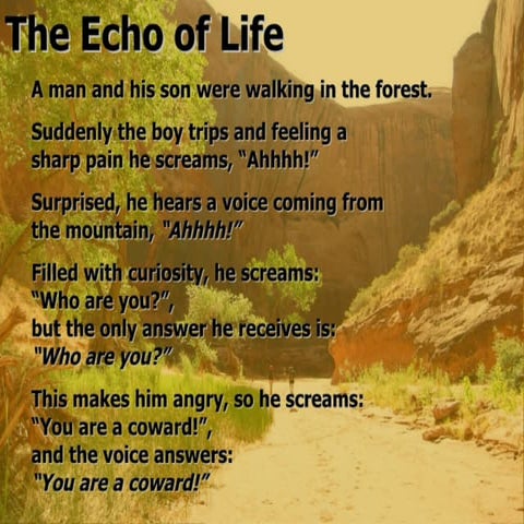 Echo of life | PDF