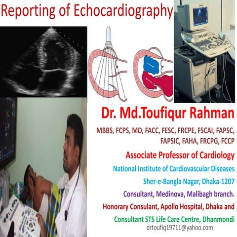 Echo reporting basics | PPSX