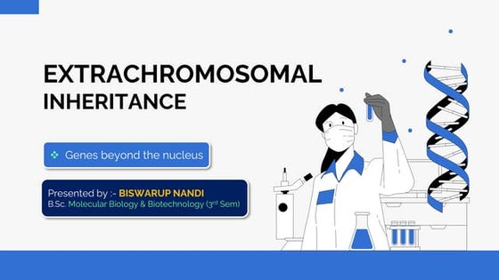 CYTOPLASMIC INHERITANCE | PPT | Infertility | Reproductive Health