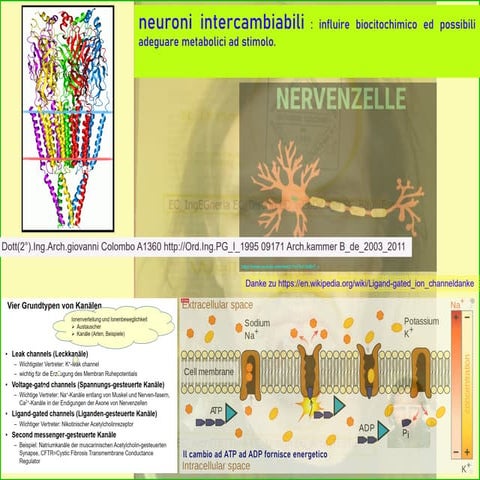 AIXMOOC 2.1 - Il modello del neurone (Stefano Sartini) | PDF