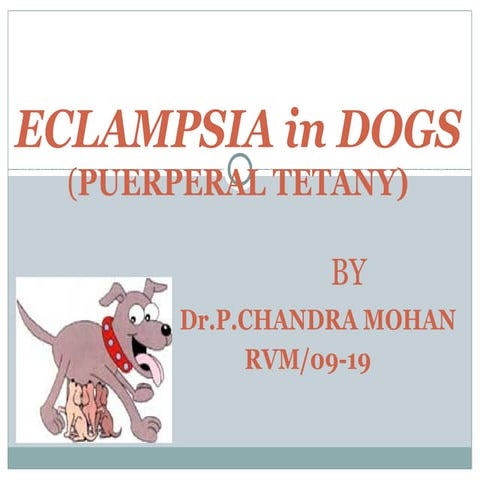 Common blood parasites in dogs | PPSX