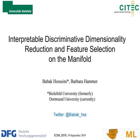 Interpretable Discriminative Dimensionality Reduction and Feature Selection on the Manifold | PPT