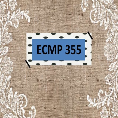 Ecmp 355 Personal Learning Summary | PPT