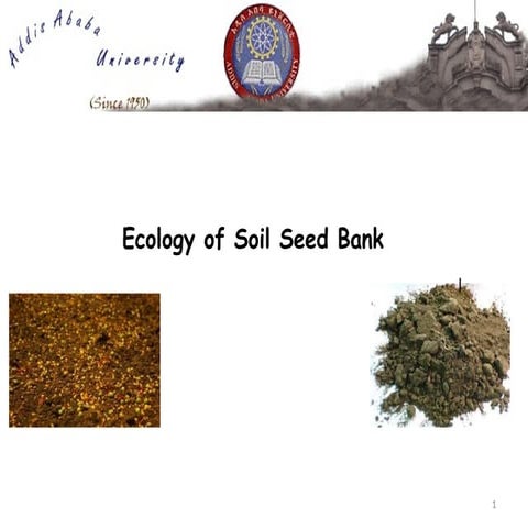 Seed Dispersal (Reproductive Biology of Angiosperms) | PPTX