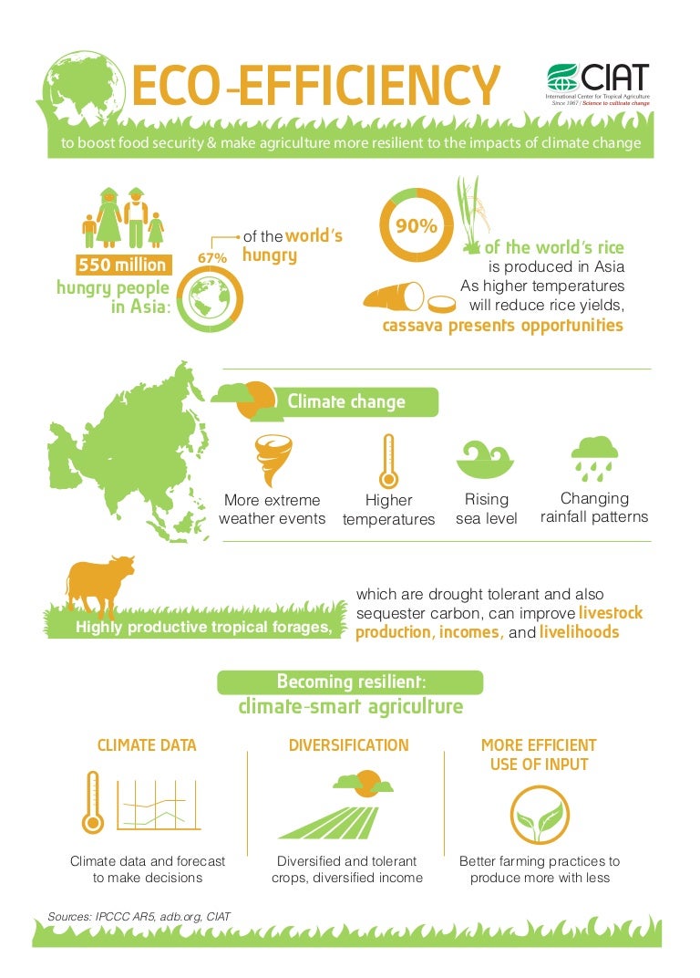 Infographic - Eco-efficiency to boost food security & make agricultur…