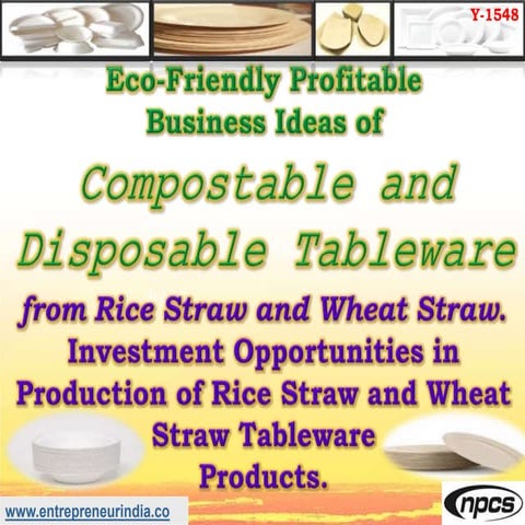 Eco friendly profitable business ideas of compostable & disposable ...