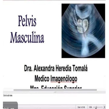 ECO-PROSTATA Y VEJIGA.pptx