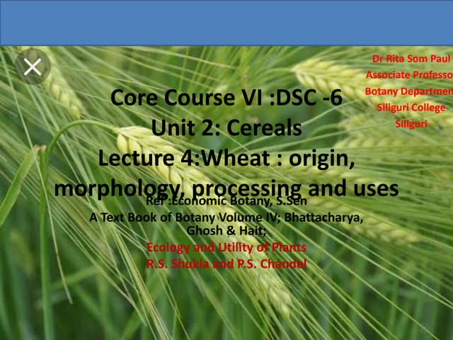Economic Botany: Cereals: Rice | PPTX