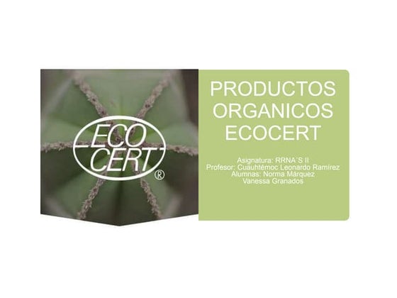 PAYSQUARE INTERNATIONAL PAYROLL OUTSOURCING SERVICES | PDF | Human ...