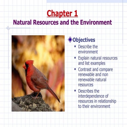 Eco chapter 1 n | PPT | Environment | Science