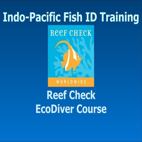 Eco diver fish id | PPT | Scuba Diving | Extreme Sports