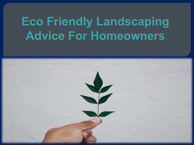 Why You Should Leave the Leaves | DOCX
