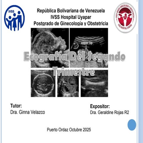 Comprehensive Second Trimester Obstetric Ultrasound: Biometry, Doppler ...