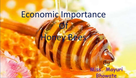 Honey Production & Processing | PPTX | Beekeeping | Hobbies & Interests