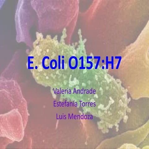 E Coli O157:H7 | PPTX