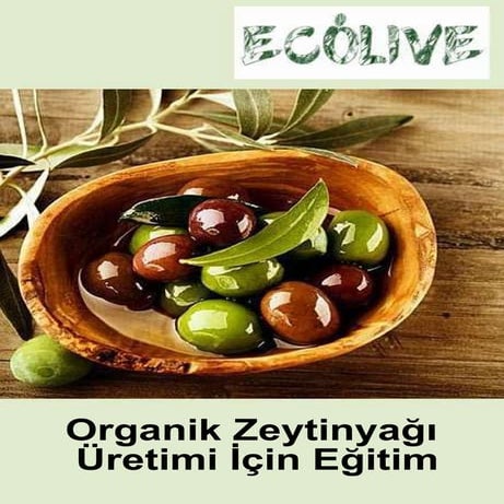 Ecolive module tk-final | PDF