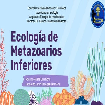 Ecologia de Mezozoos Placozoos y Poriferos final.pptx