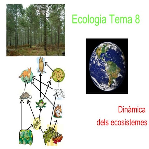 Ecologia tema 8 | PPT