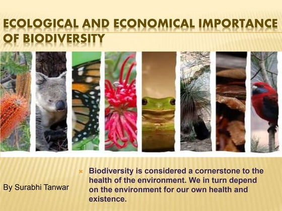 Bioresources and uses of biodiversity | PPTX | Biological Sciences ...