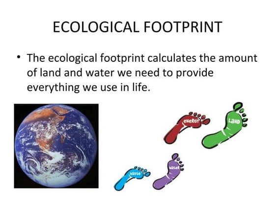 Ecological footprint | PDF