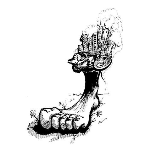 Ecological Footprint Cartoons | PPTX