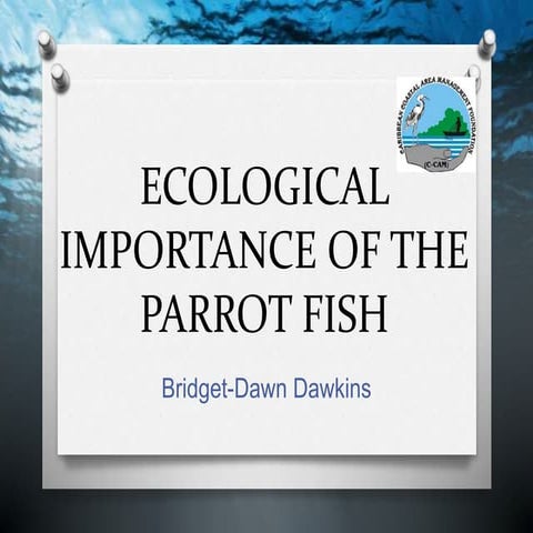 Ecological importance of the parrot fish | PPTX