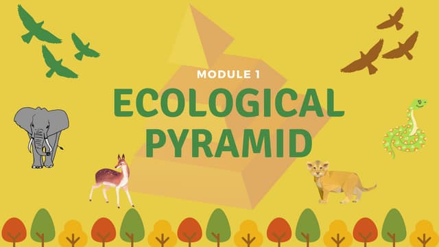 Ecological pyramids ppt | PPTX