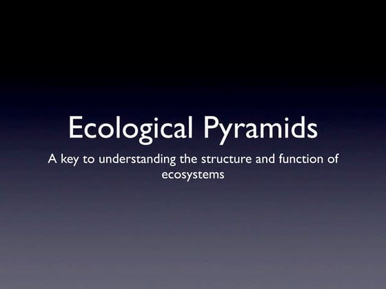 Ecological pyramids ppt | PPTX | Biological Sciences | Science