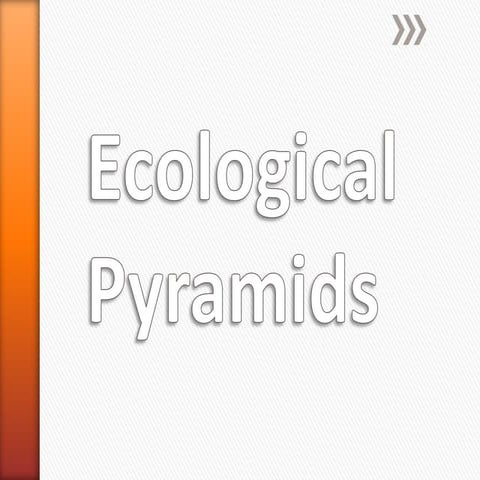 Food webs and trophic levels | PPT