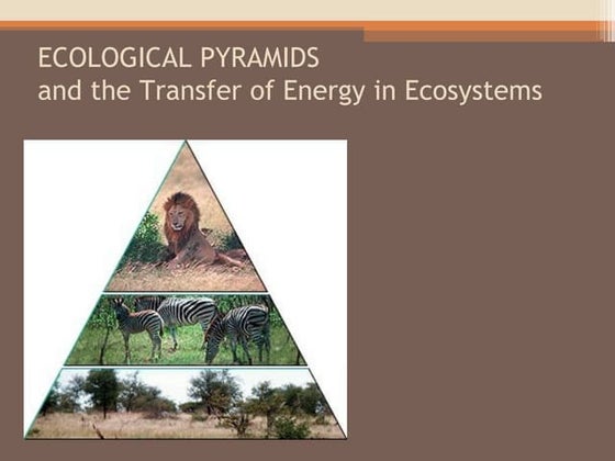 Land Resource (Environmental Science) | PPTX