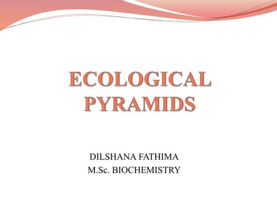Ecological pyramids ppt | PPTX | Biological Sciences | Science